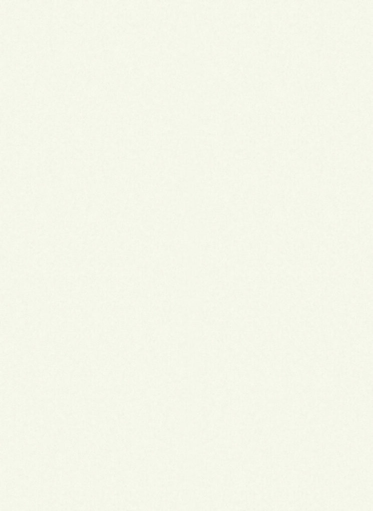 BASIC NEU - Anteric Group