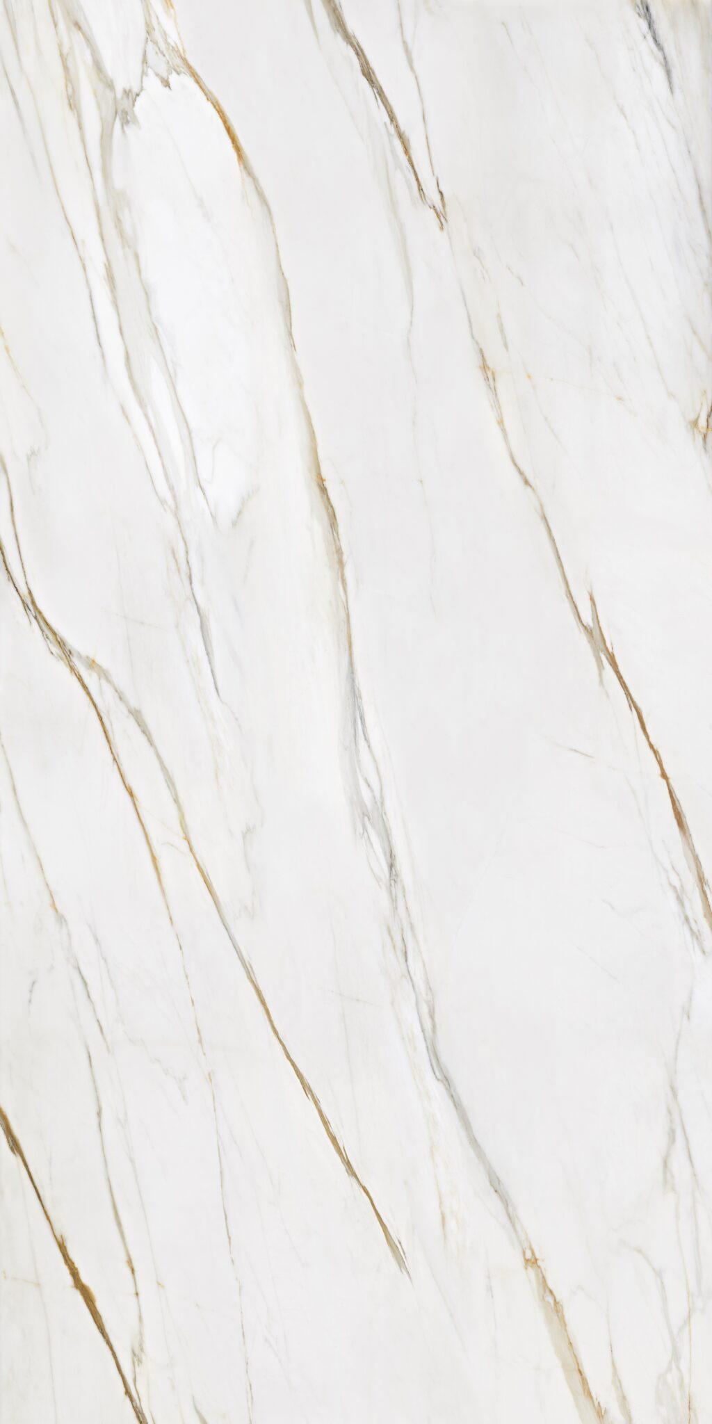 NEW COLLECTION 2024 - Anteric Group